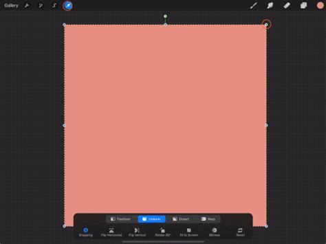 How To Create Seamless Pattern Repeats In Procreate — Wooly Pronto