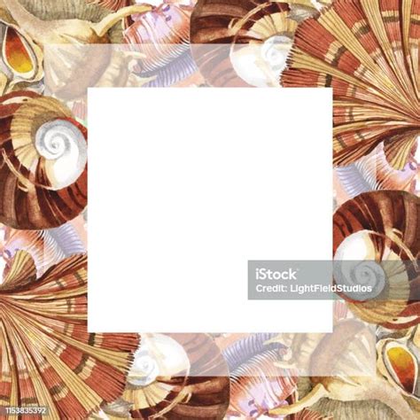 여름 해변 조개 열 대 요소입니다 수채화 배경 그림 집합입니다 프레임 테두리 장식 광장 가리비에 대한 스톡 벡터 아트 및 기타 이미지 Istock