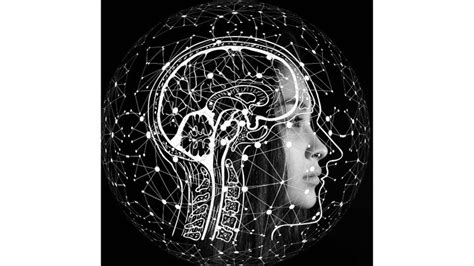 Decoding Emotional Intelligence Eshoptrip