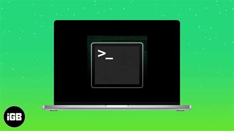 Most Useful Terminal Commands For Macos 2025 Igeeksblog