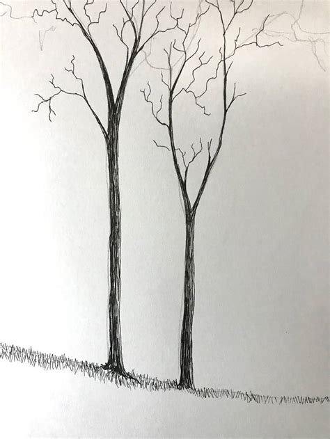 The Dark Tree Drawing By Humberto C Pornaro Saatchi Art