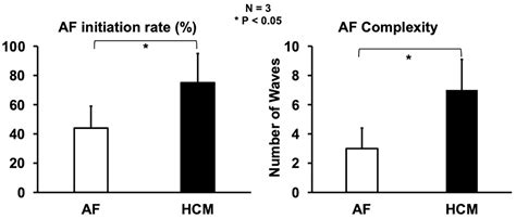 Po 05 044 Phenotyping Atrial Fibrillation In Patients With Hypertrophic Cardiomyopathy Using