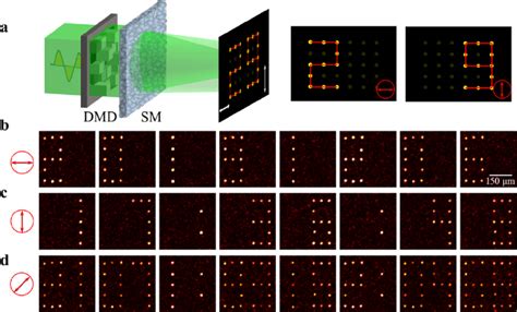 Experimental Demonstration Of Dynamic Polarization Multiplexed Image Download Scientific