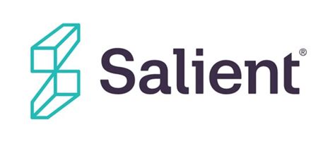 Salient Unveils New Branding Corporate Identity Portal