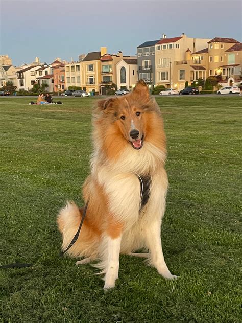 Pandas Hacks For A Data Scientist Part I By Anurag Tangri Towards Ai