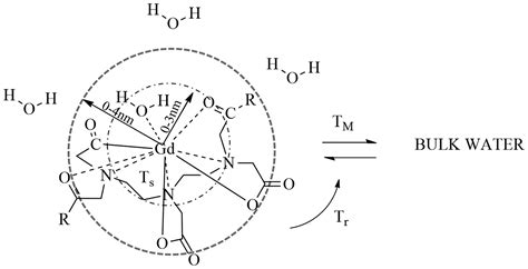 Gadolinium Contrast Agents