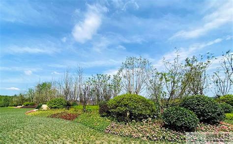 沪杭甬高速 杭州入城口整治项目 成功案例 杭州市园林绿化股份有限公司