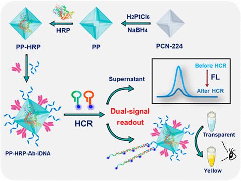“three In One” Zr Mof Multifunctional Carrier Mediated Fluorescent And Colorimetric Dual Signal