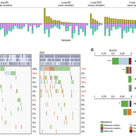 Mutation Pattern Of Egfr In Nsclc Patients A Lolliplot Of Egfr Download Scientific Diagram