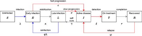 Model Structure Duplicated For Each Sex Red Transitions Are Download Scientific Diagram