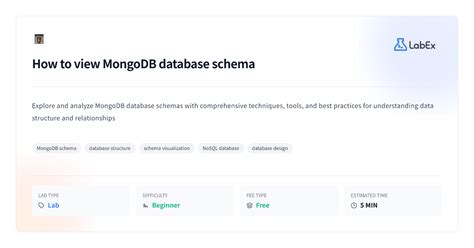 How To View Mongodb Database Schema Labex