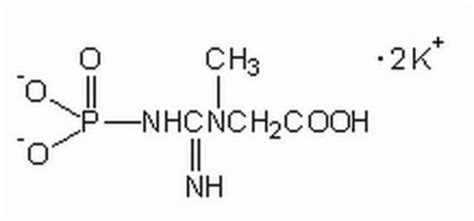 Phosphate Groups Sigma Aldrich