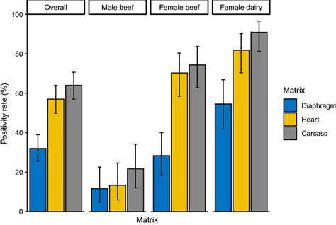 The Occurrence Of Sarcocystis Spp In Cattle Carcasses During Download Scientific Diagram