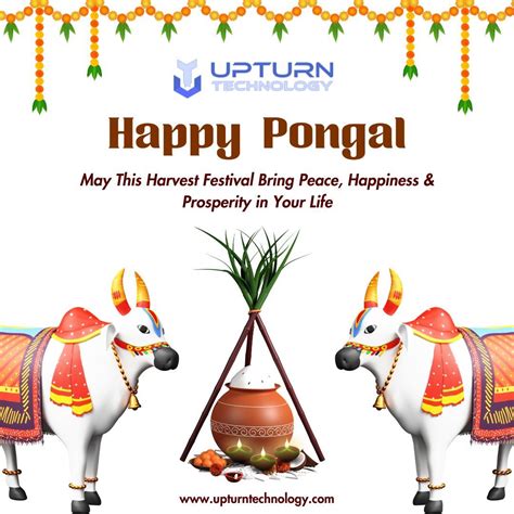 Happypongal Upturntechnology Itinnovation Techsolutions Upturn Technology Private Limited