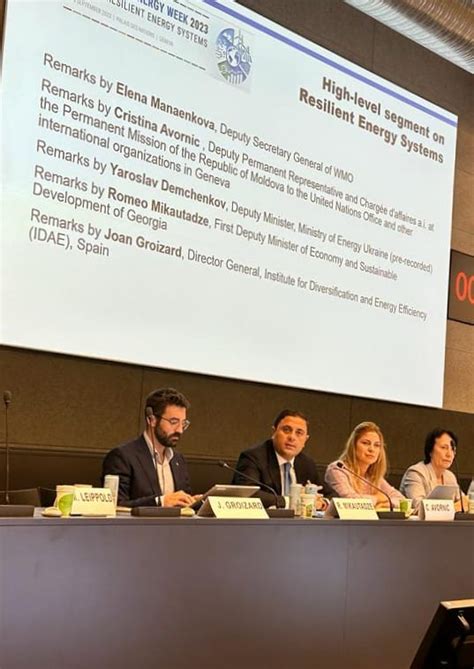 რომეო მიქაუტაძე Unece ს მაღალი დონის მდგრადი ენერგეტიკის კომიტეტის 32 ე სესიაზე მოხსენებით