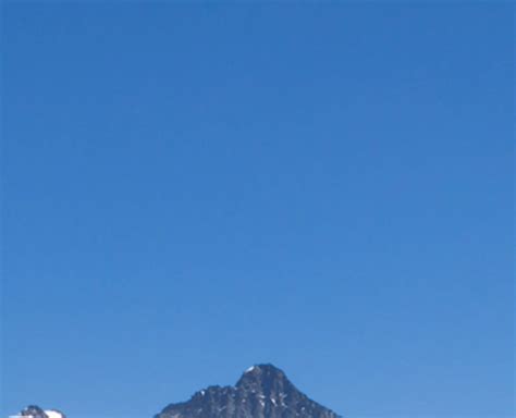 How To Use Divis New Animation Effects