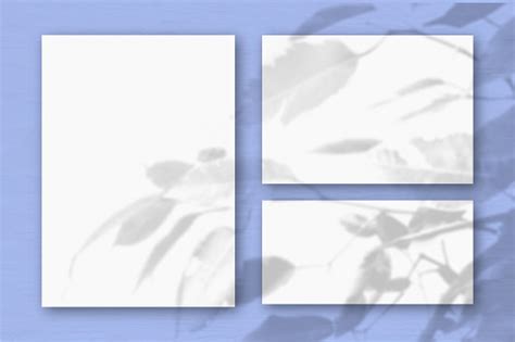 파란색 벽의 배경에 흰색 질감 종이의 여러 수평 및 수직 시트 자연채광은 이국적인 식물의 그림자를 투사합니다 플랫 레이 상단 보기 0명에 대한 스톡 벡터 아트 및 기타