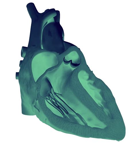 What Is Hfpef Guide Ultromics