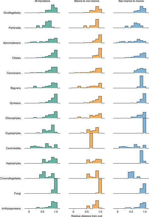 Ridgeline Histogram Plots Displaying The Timing Of Transition