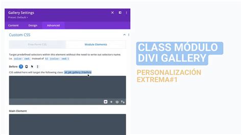 Introducción a CSS Básico para Divi Gallery