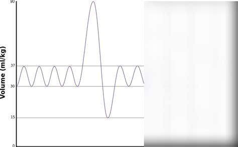 Spirogram Diagram Quizlet
