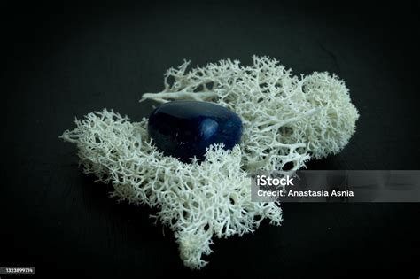 브라질에서 아게이트 블루 이끼로 둘러싸인 검은 색 배경에 천연 미네랄 스톤 미네랄로기 지질학 마법 반 보석 및 미네랄 샘플 클로즈업 매크로 사진 0명에 대한 스톡 사진 및