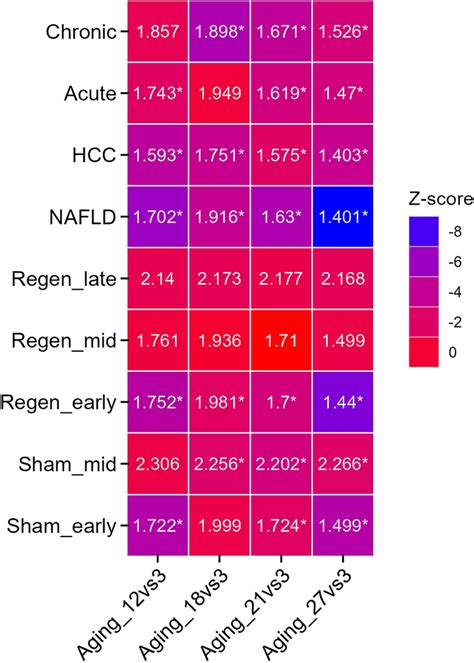 Network Proximity Of Ageing With Different Liver Associated Conditions Download Scientific