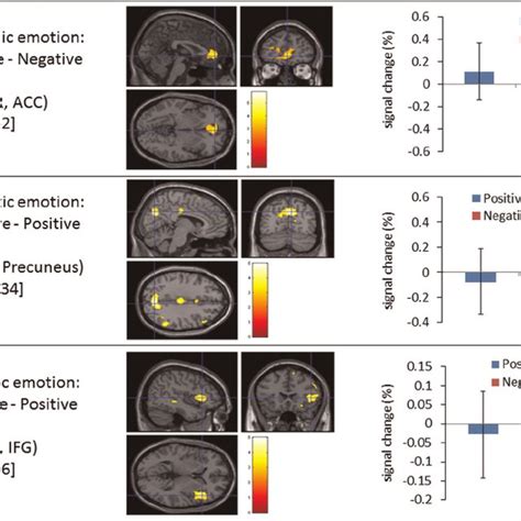Regions Showing Brain Activation For The Positive Versus Negative And