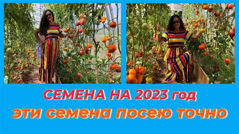 ЭТИ ПЕРЦЫ ТОМАТЫ БУДУ ВЫРАЩИВАТЬ В 2023 год ЛУЧШИЕ НОВИНКИ СЕМЯН Youtube