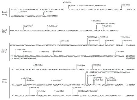 Mutations Within The Coding Region Of The Shared Ugt1a Exons 2 5 In
