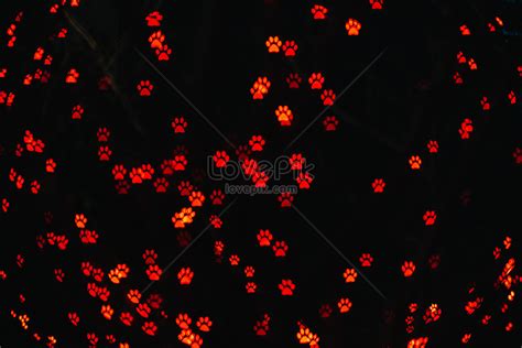 Black Background Pattern Light Spot Background Picture And Hd Photos Free Download On Lovepik