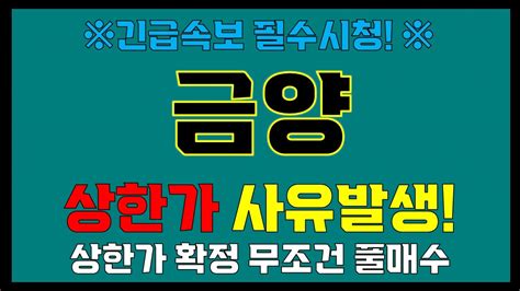 금양” 상한가 사유발생 무조건 풀매수 들어가세요 Youtube
