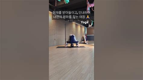 현재를 받아들이고 인내하며 내면의 평화를 찾는 여정 요가 타임랩스 아쉬탕가요가 수련일기 Yogalife Yogalife 요가수련 요가원 노력 성실