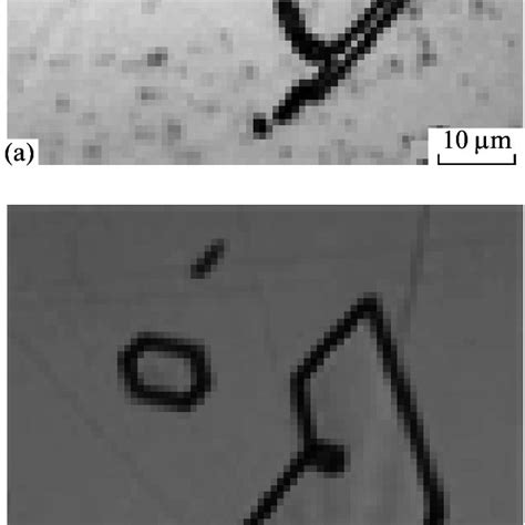 Schematic Of Electron Beam Writing On A Zcut Surface Download Scientific Diagram