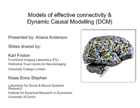 Pdf Models Of Effective Connectivity And Dynamic Causal Modelling Dcm €¦ · Models Of Effective