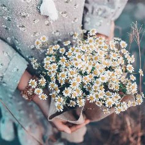 Открытка букет ромашек 59 фото