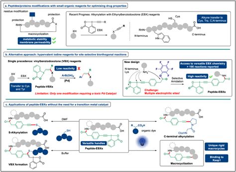 Peptide Modifications Enabled By Hypervalent Iodine Reagents Hirs A