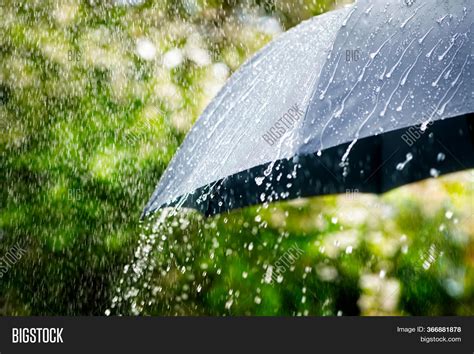 Pictures Of Rain Falling