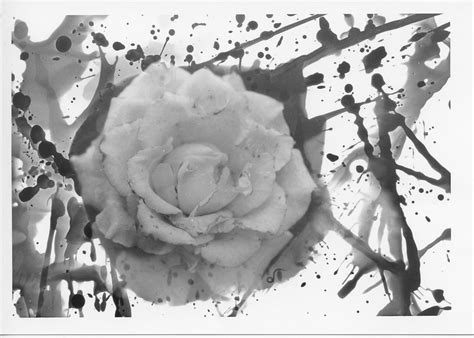 Kennedy High School Photography Selective Development