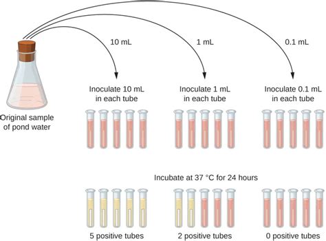 Most Probable Number Mpn Test Principle Procedure Results • Microbe Online