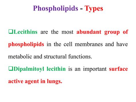Structural Lipids Pptx