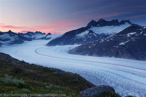 Mendenhall Glacier Tongass National Forest Alaska Photos By Ron