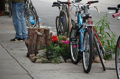 The Design Of Tree Pits Spacing Toronto Design Tree Bed Toronto