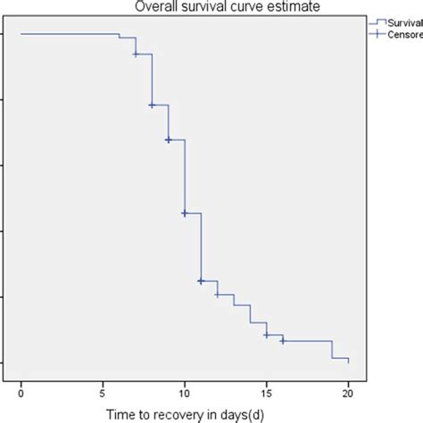 Overall Kaplanmeier Estimation Of Survival Time To Recover From