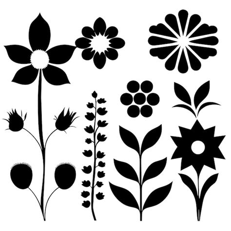 Premium Vector Flat 2d Vector Art Of Botanical Elements