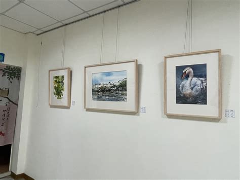 龍井地政所舉辦「翩然水色」透明水彩藝展 捕捉日常中的美好瞬間 暢news 新聞觀點，暢所欲言
