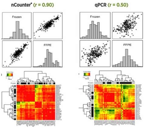 FFPE Tissue Simplified NanoString