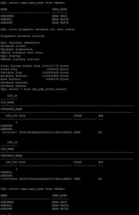 Oracle AppsDBA R R I Oracle C DB CDB And PDB Auto Start