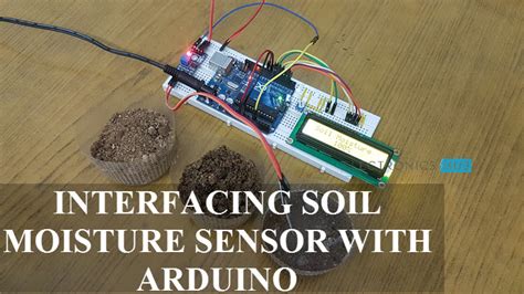 Arduino Bob Bob