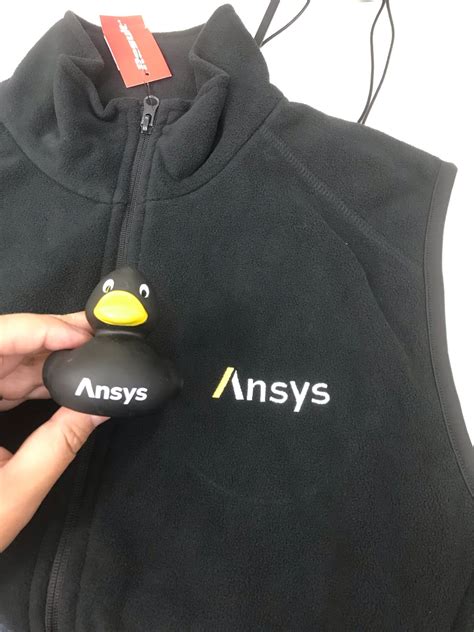 Dr Steven Yu Xia Phd Ceng Mimeche On Linkedin Logo Lifeatansys